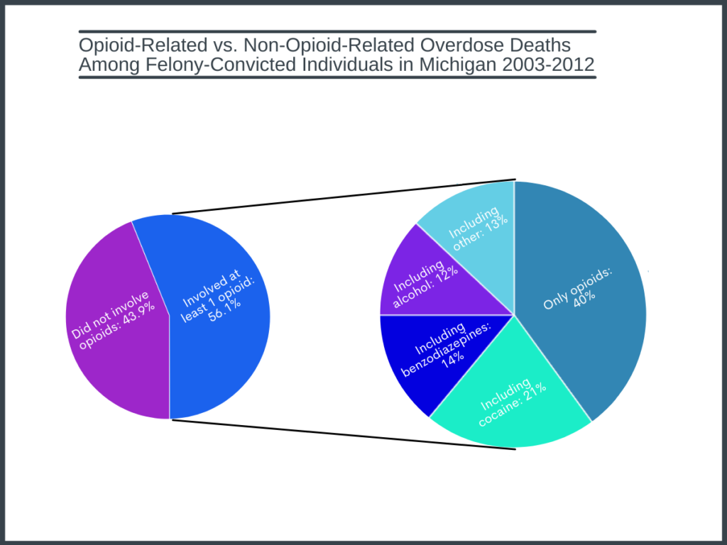 High rates of overdose deaths after prison spotlight unmet need among ...