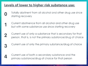 Non-abstinent recovery approaches are common, though abstinence ...