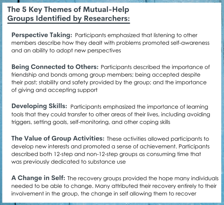 It works, but why does it work? Perspectives on change in 12-step and ...