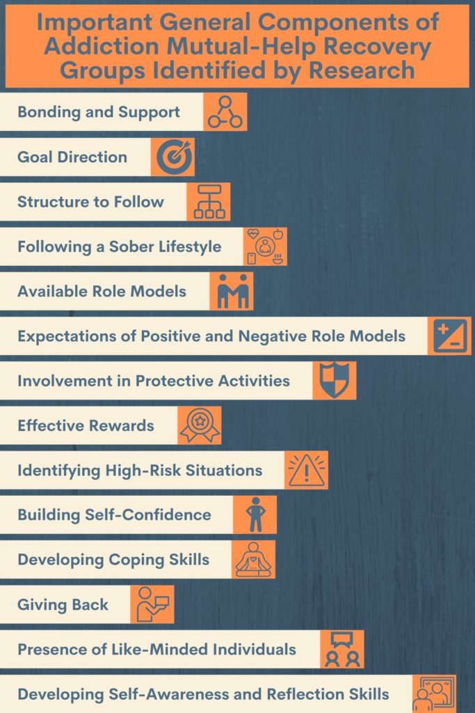It works, but why does it work? Perspectives on change in 12-step and ...